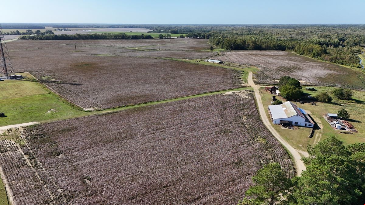 Grasunan Family Farm - 27885 North Carolina 125, Scotland Neck, NC 27874