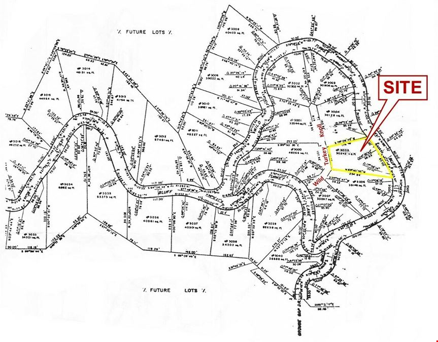 Gated Mountain Resort Community - 3005 Wild Turkey Knoll, Big Canoe, GA ...