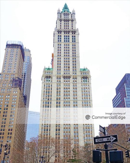 The Woolworth Building - 233 Broadway, New York, NY 10279