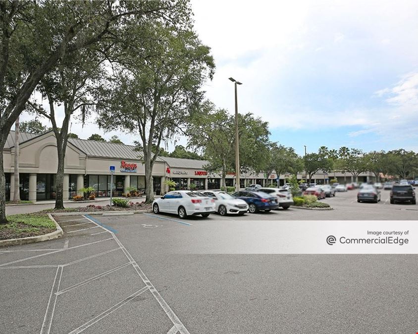 Shoppes of Amberly - 15305 Amberly Drive, Tampa, FL 33647
