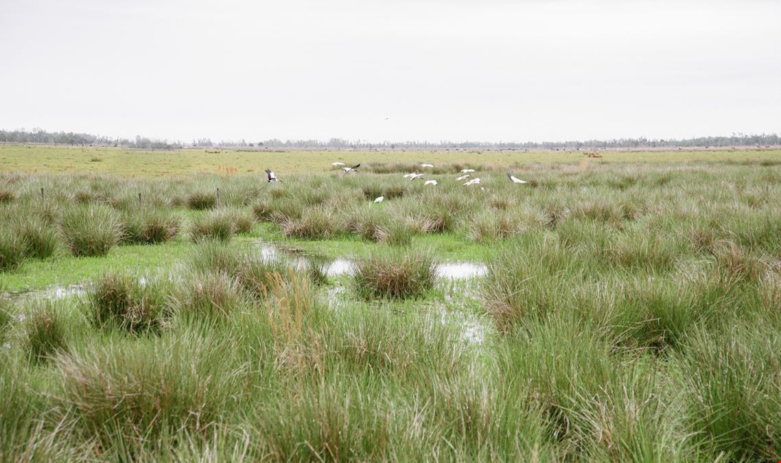 Lonesome Creek Ranch - L-7 Ranch Rd, Lake Placid, FL 33852