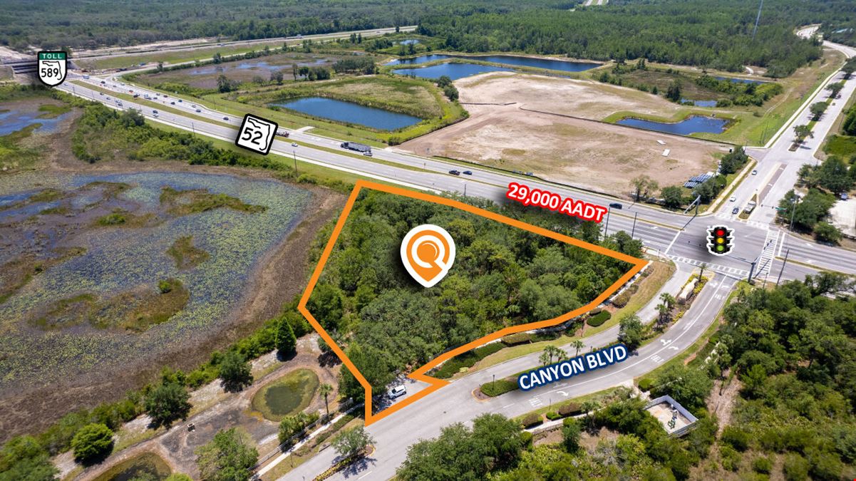 Land O' Lakes Hard Corner Dev Site - 11951 Canyon Boulevard, Spring ...