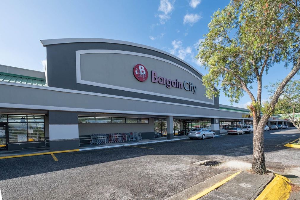 MOROVIS PLAZA SHOPPING CENTER - CARR. ESTATAL 137, MOROVIS, PR 00987