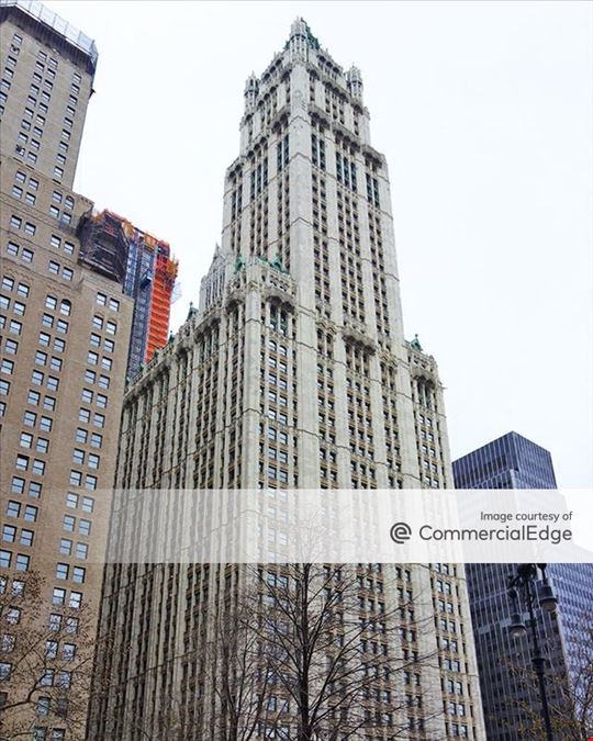 The Woolworth Building - 233 Broadway, New York, NY 10279