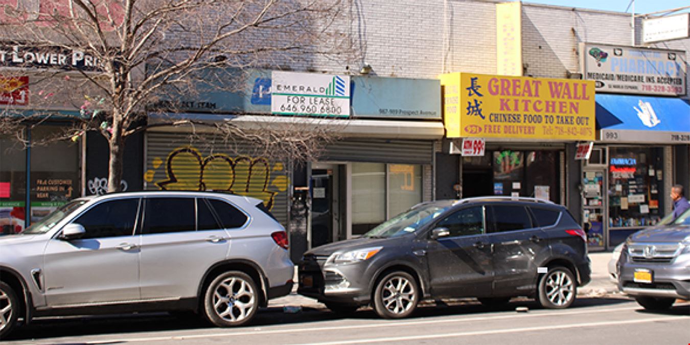 BRONX NEIGHBORHOOD LOCATION - Prospect Avenue - 987 Prospect Ave, Bronx ...